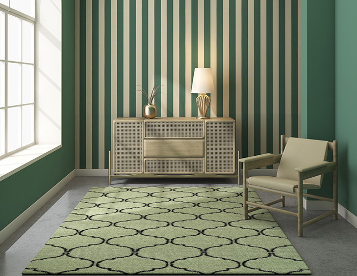 Elevate Your Space with Graphic Rugs: A Stylish Guide