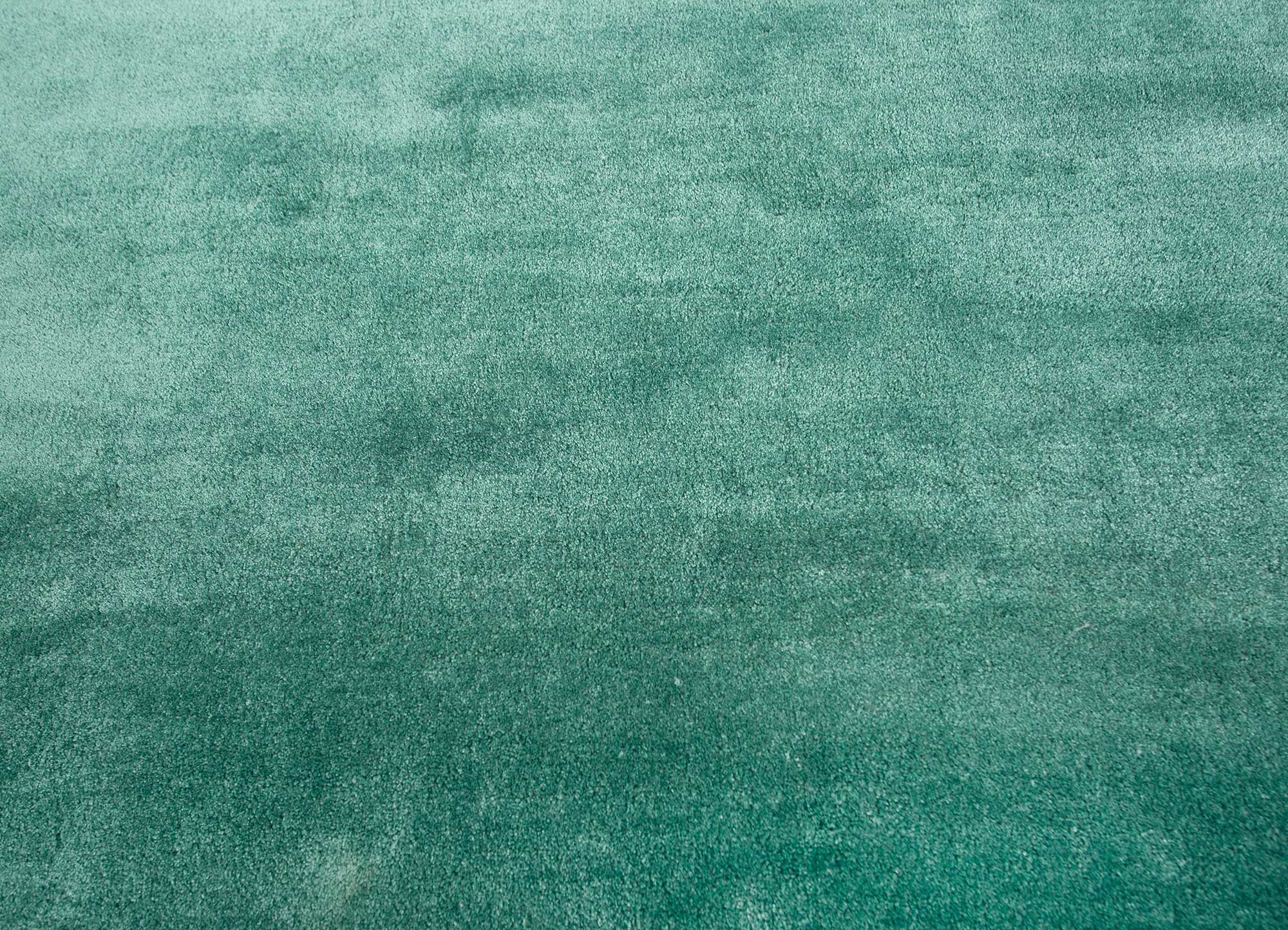 Cera Green Hand Tufted Viscose Rugs-Tpv-5016-Jaipur Rugs ZA